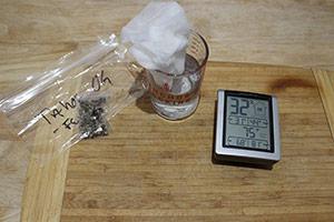 Germinating Cannabis Seeds - How to Grow Marijuana | Holi Moli Seeds