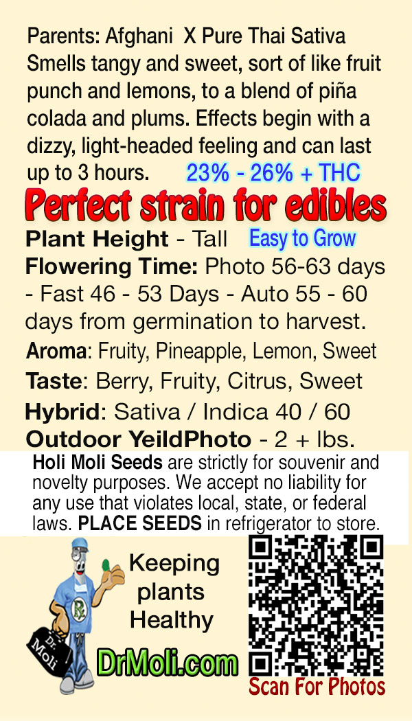 Juicy Fruit Reg Cannabis Holi Moli Card | Marijuana